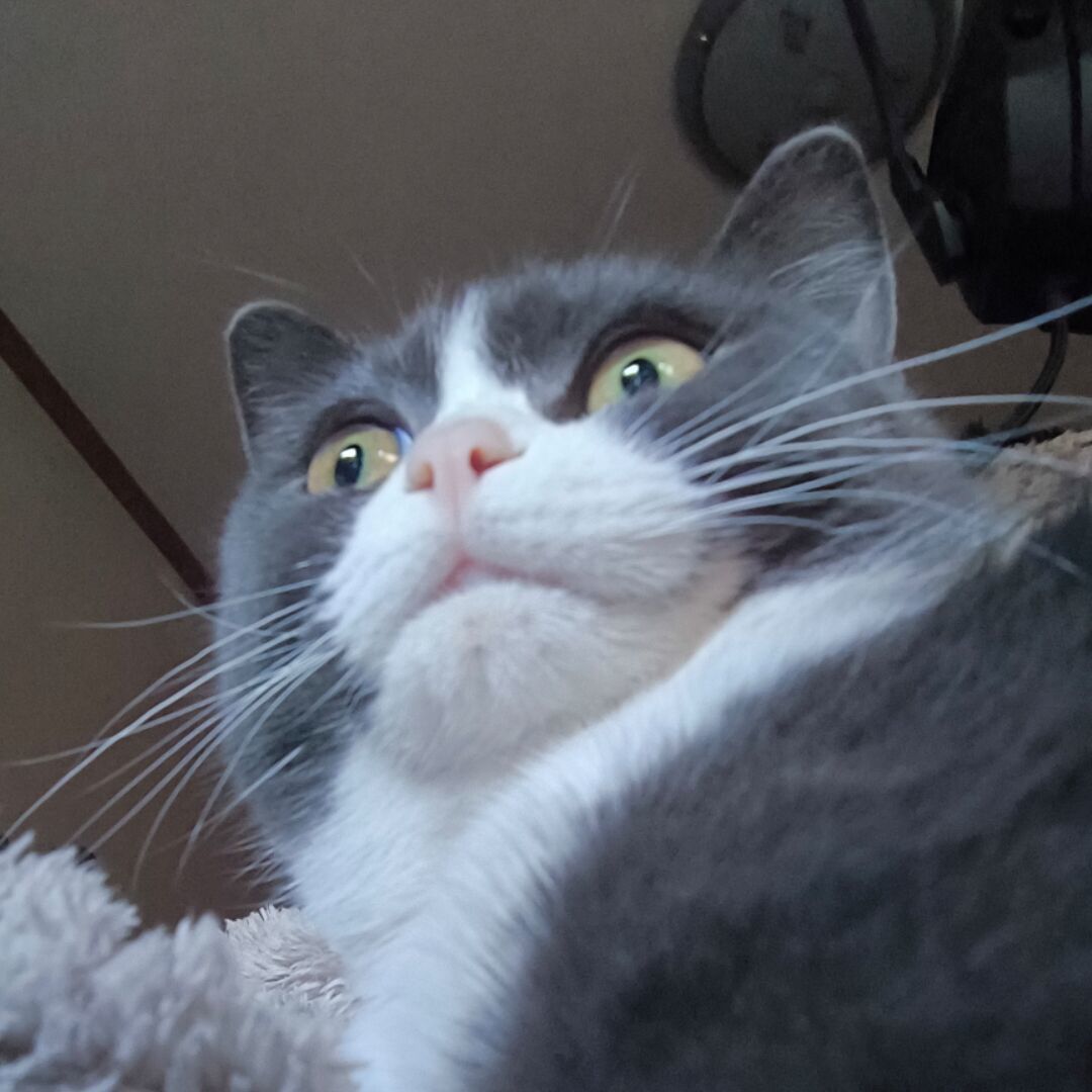 NIKKE胜利女神版本一图流_NIKKE胜利女神wiki|GameKee